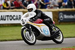 Honda RC174 replica - Motoblog