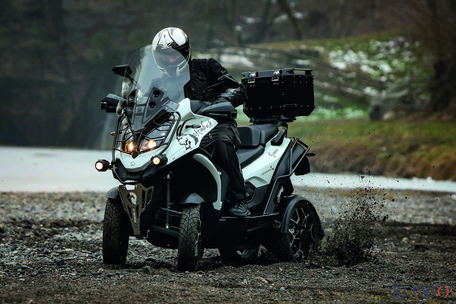 Quadro Quadro4 Steinbock 2018 - Motoblog